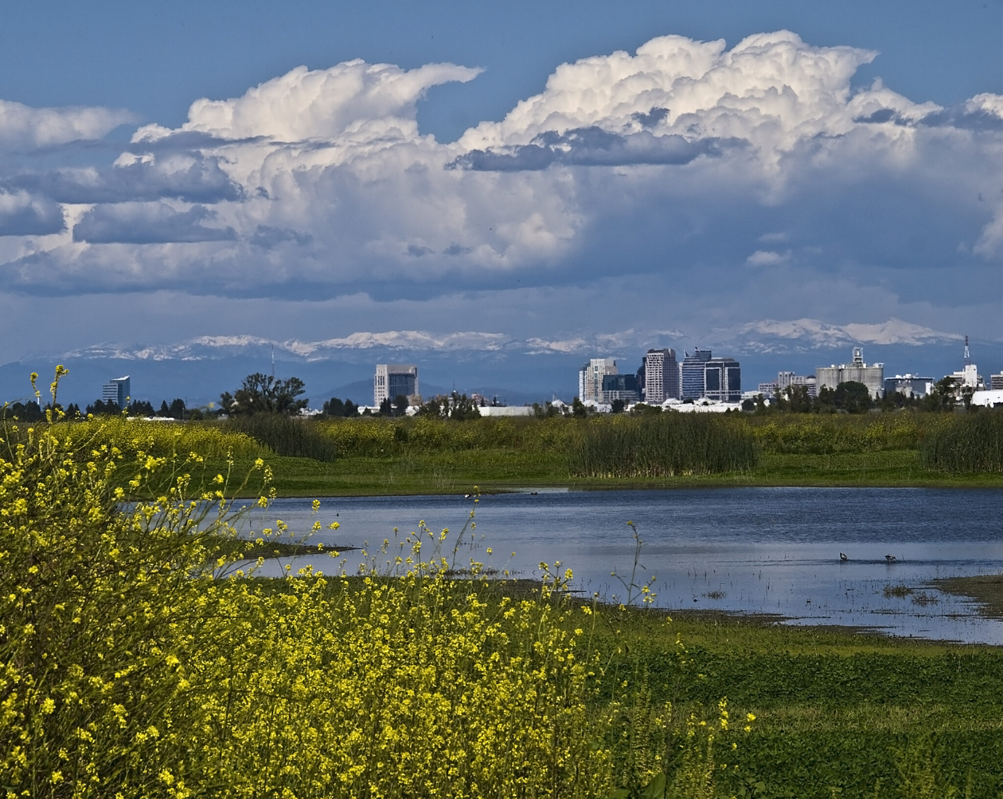 Flyway Nights Speaker Series – Yolo Basin Foundation